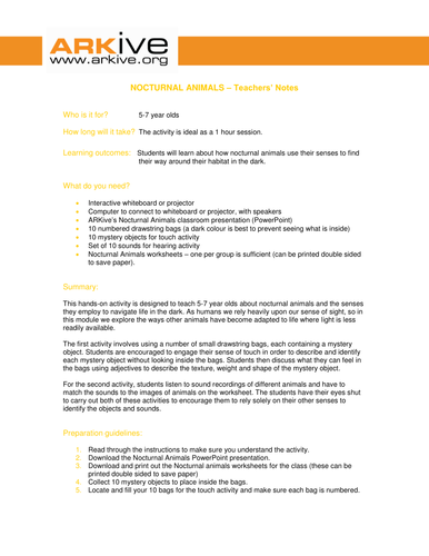 Nocturnal Animals | Teaching Resources