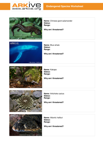 What is an Endangered Species? | Teaching Resources