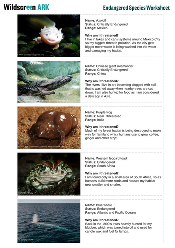What is an Endangered Species? | Teaching Resources