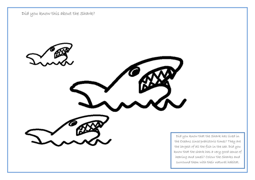 Shark facts | Teaching Resources