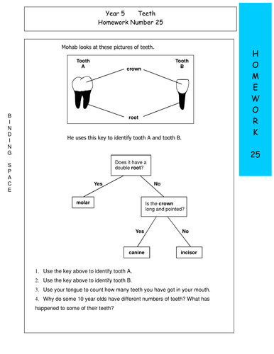 Teeth Homework 25 | Teaching Resources