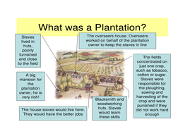 Map of a plantation | Teaching Resources
