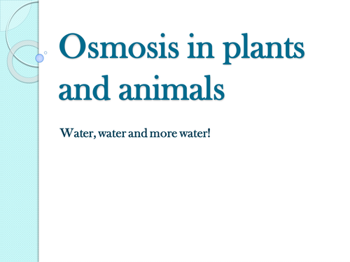 Osmosis in plants and animal cells | Teaching Resources