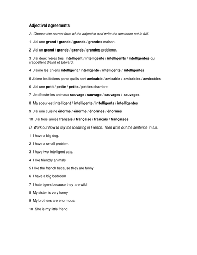 Introduction to Adjectival Agreement | Teaching Resources