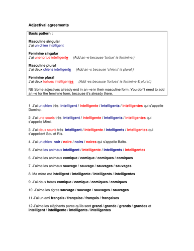Introduction to Adjectival Agreement | Teaching Resources