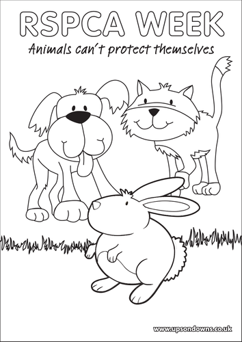 RSPCA WEEK Animal Colouring Poster | Teaching Resources