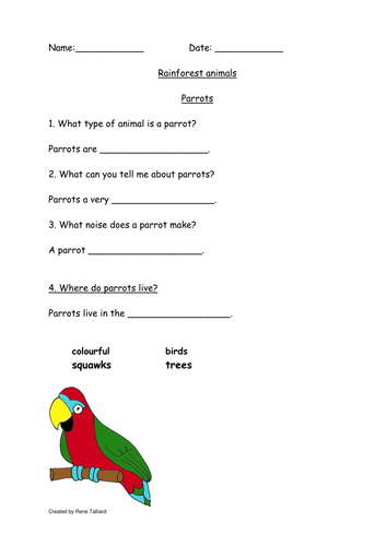 Rainforest animals - The parrot | Teaching Resources