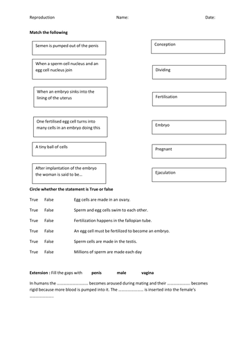 Fertilisation recap worksheet | Teaching Resources