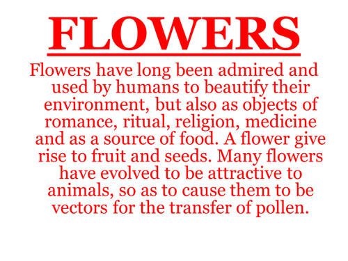 About Flowers | Teaching Resources