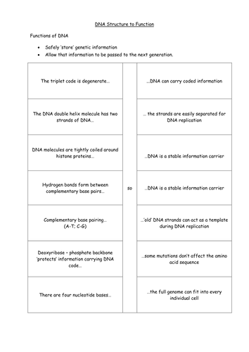 DNA Structure vs Function card sort | Teaching Resources