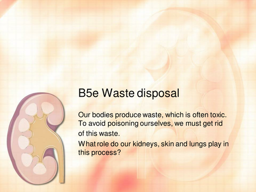 B5e Getting rid of waste | Teaching Resources