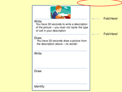 Chinese Whispers Specialised Cells Activity | Teaching Resources