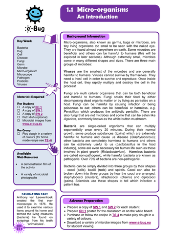 Primary - Microbe Mania: Teacher Sheets | Teaching Resources