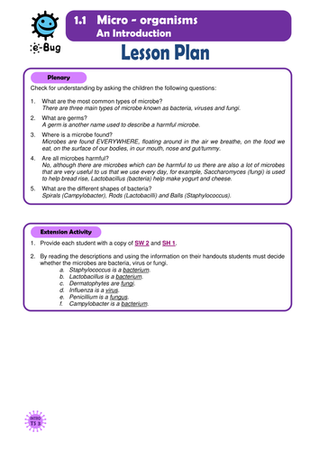 Primary - Microbe Mania: Teacher Sheets | Teaching Resources