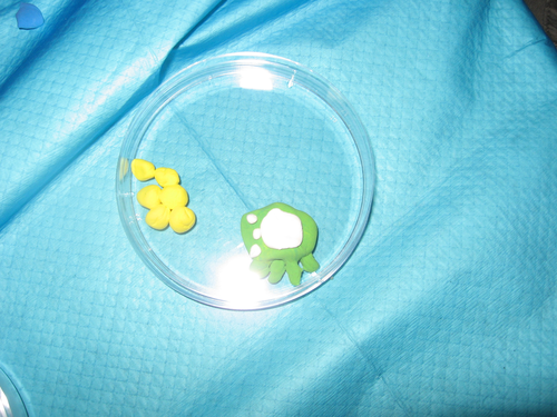 Primary - Microbe Mania: Multimedia | Teaching Resources