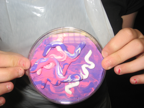 Primary - Microbe Mania: Multimedia | Teaching Resources