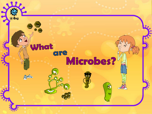 Primary - Microbe Mania: Multimedia | Teaching Resources