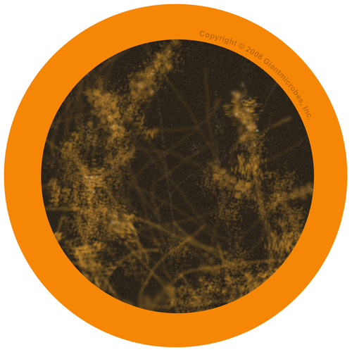 Primary - Microbe Mania: Multimedia | Teaching Resources