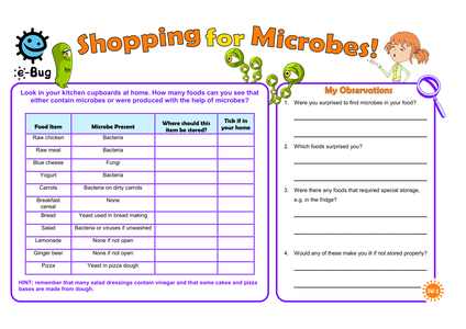 Primary - Useful Microbes: Alternative by e-Bug - UK Teaching Resources ...