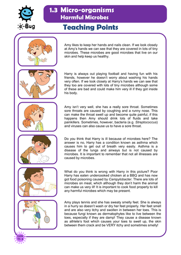 Primary - Harmful Microbes: Teacher Sheets | Teaching Resources
