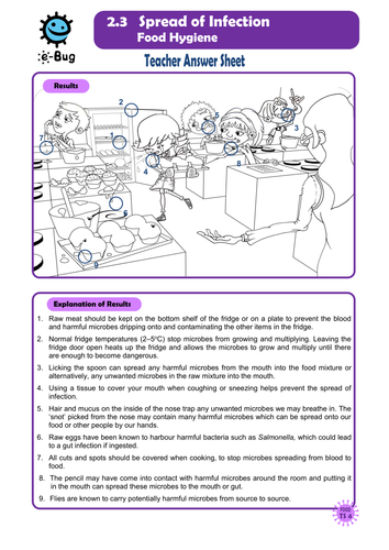 Primary - Food Hygiene: Teacher Sheets | Teaching Resources