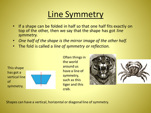 Symmetry Resources | Tes