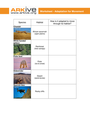 Adaptations for Movement | Teaching Resources