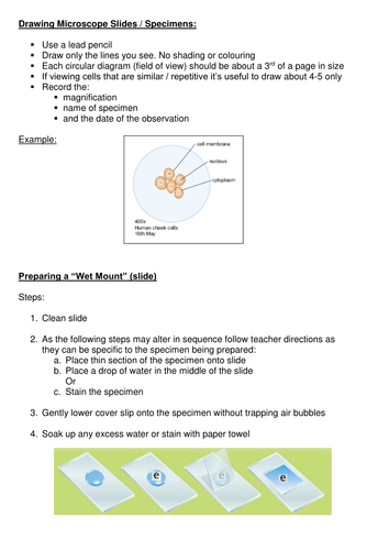 Drawing Microscope Slides & Preparing wet mounts | Teaching Resources