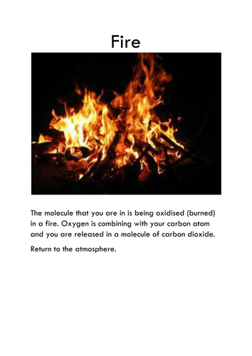 The Carbon Cycle Game | Teaching Resources