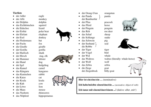 TIERE: Project for Y9 German | Teaching Resources