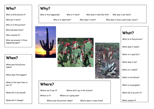 Deserts & Plant Adaptations | Teaching Resources