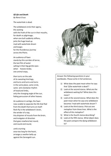 KS3 Poetry Unit (Pt 1) | Teaching Resources