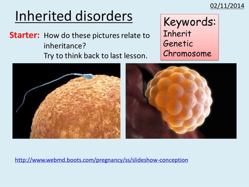 Genetic disorders research and presentation task | Teaching Resources