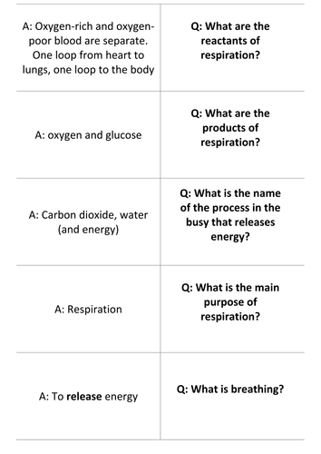 Respiration Question Cards and Loop Game | Teaching Resources