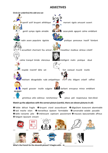 adjectives in French | Teaching Resources