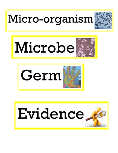 Vocabulary Display - Unit 6B: Microorganisms | Teaching Resources