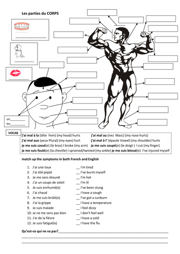 Parts of the body les parties du corps | Teaching Resources