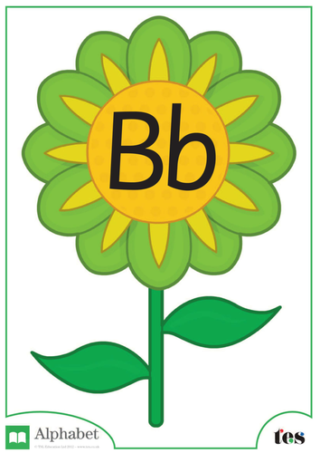 The Letter B - Flower Theme | Teaching Resources