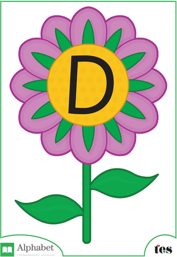 The Letter D - Flower Theme | Teaching Resources