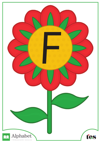 The Letter F - Flower Theme | Teaching Resources