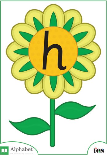 The Letter H - Flower Theme | Teaching Resources