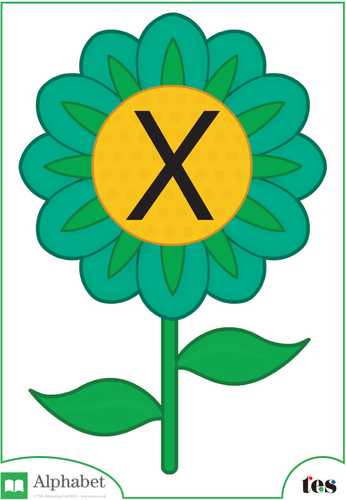 The Letter X - Flower Theme | Teaching Resources