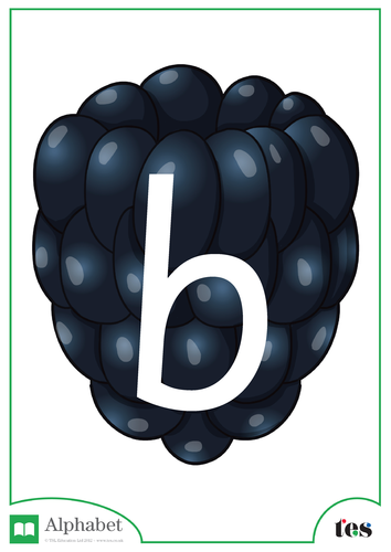 The Letter B - Fruit Theme | Teaching Resources