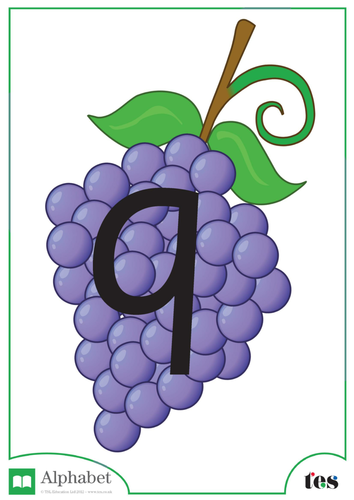 The Letter Q - Fruit Theme | Teaching Resources