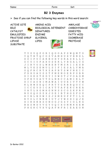 AQA B2 new spec wordsearches | Teaching Resources