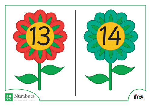 Number Cards – Plants and Flowers Theme 11-20 | Teaching Resources