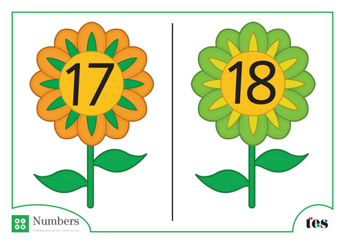 Number Cards – Plants and Flowers Theme 11-20 | Teaching Resources
