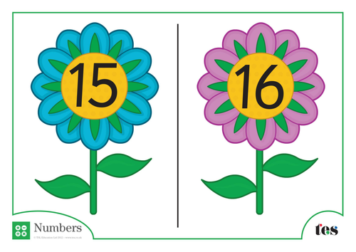 Number Cards – Plants and Flowers Theme 11-20 | Teaching Resources