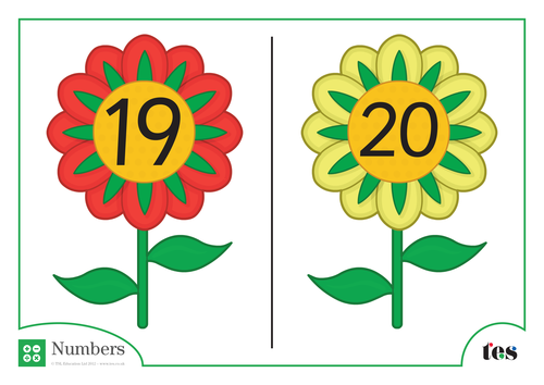 Number Cards – Plants and Flowers Theme 11-20 | Teaching Resources