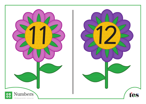 Number Cards – Plants and Flowers Theme 11-20 | Teaching Resources